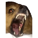 bichos gritando Stickers for WhatsApp