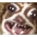 bichos gritando Stickers for WhatsApp